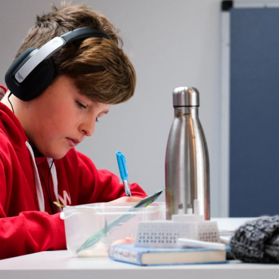 For Staff - calvic.org